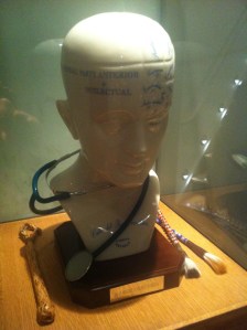 Romera New York – Neurogastronomy or Food Fetishism? – Andre Dang